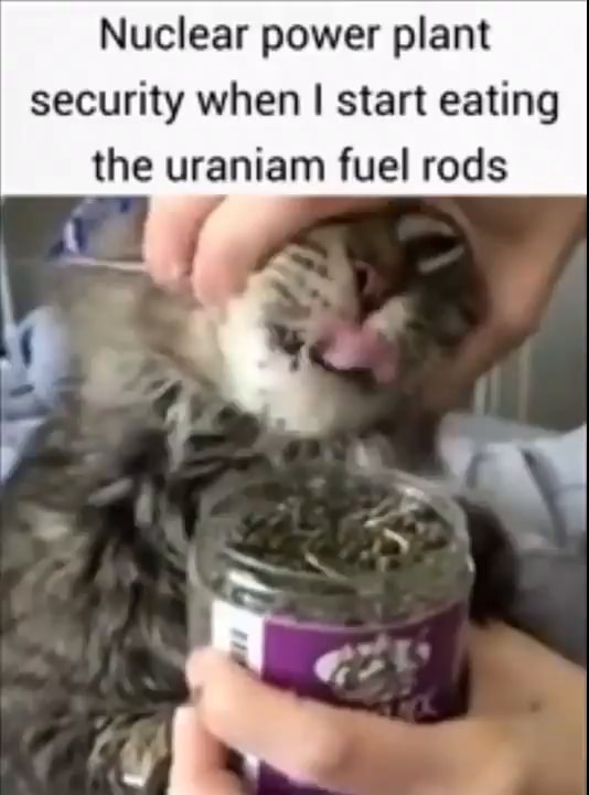 Nuclear power plant security when start eating the uraniam fuel rods ...