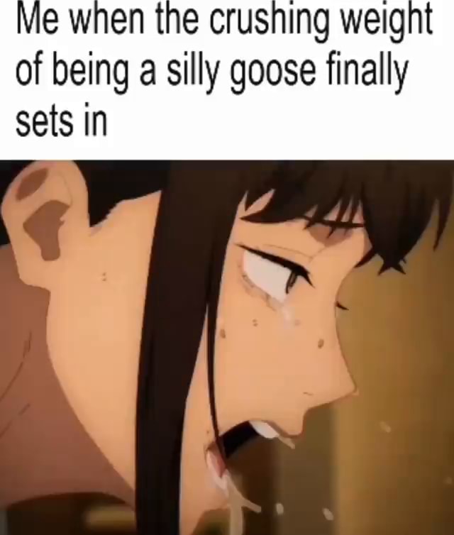 Me when the crushing weight of being a silly goose finally sets in - iFunny