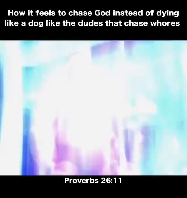 How it feels to chase God instead of dying like a dog like the dudes ...