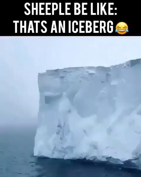 SHEEPLE BE LIKE: THATS AN ICEBERG - iFunny