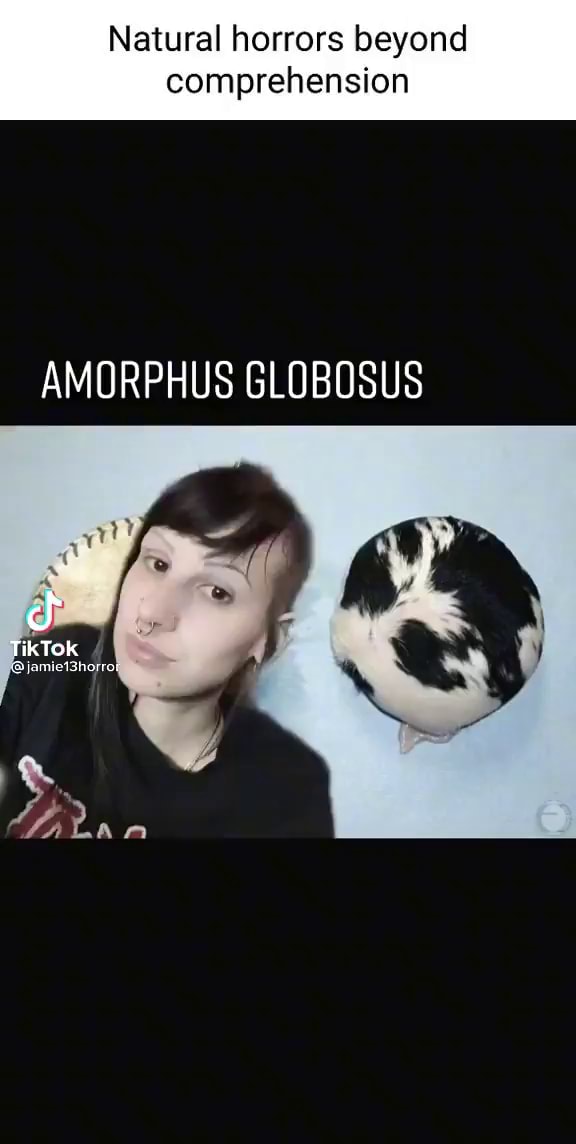 Natural horrors beyond comprehension AMORPHUS GLOBOSUS TikTok - iFunny