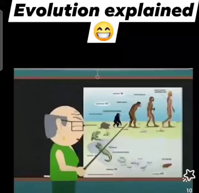 Evolution explained - iFunny