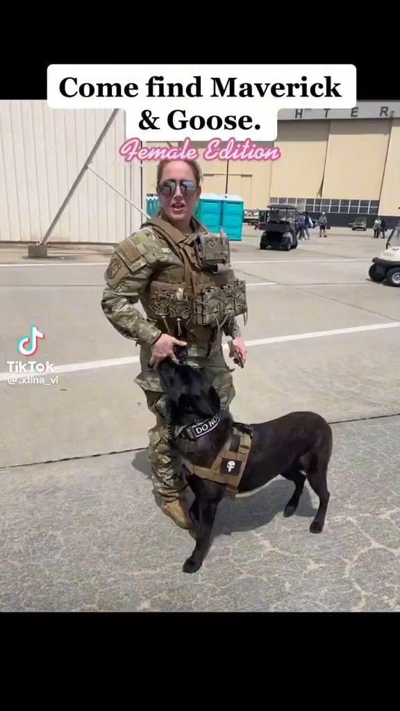 Come find Maverick To Rs & Goose. of TikTok - iFunny
