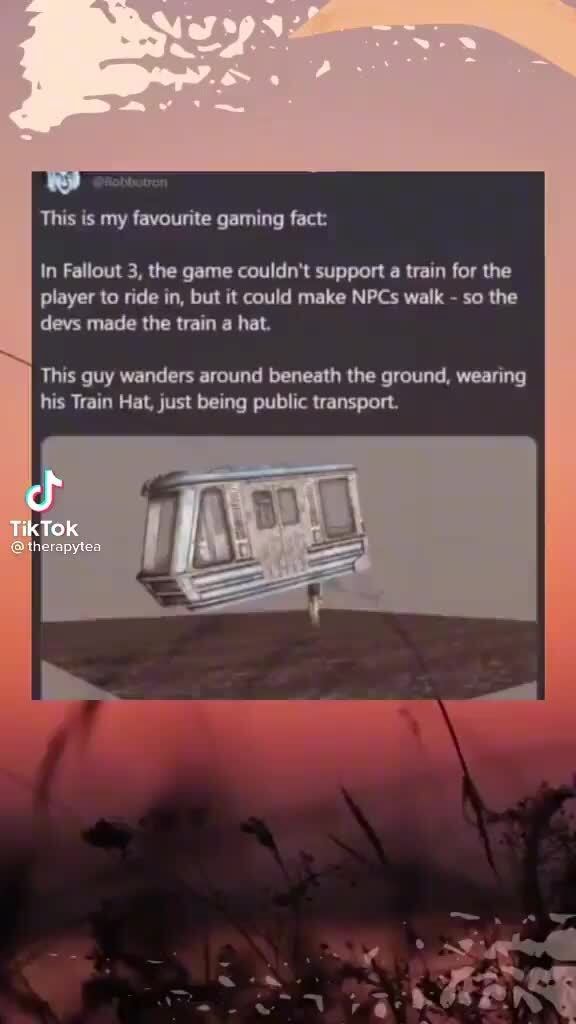 This is my favourite gaming fact: In Fallout 3, the game couldn't ...
