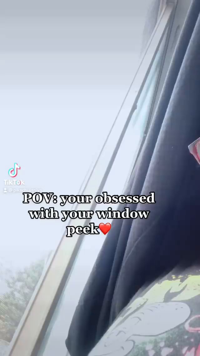 TikTok POV: your obsessed with your window peck. - iFunny