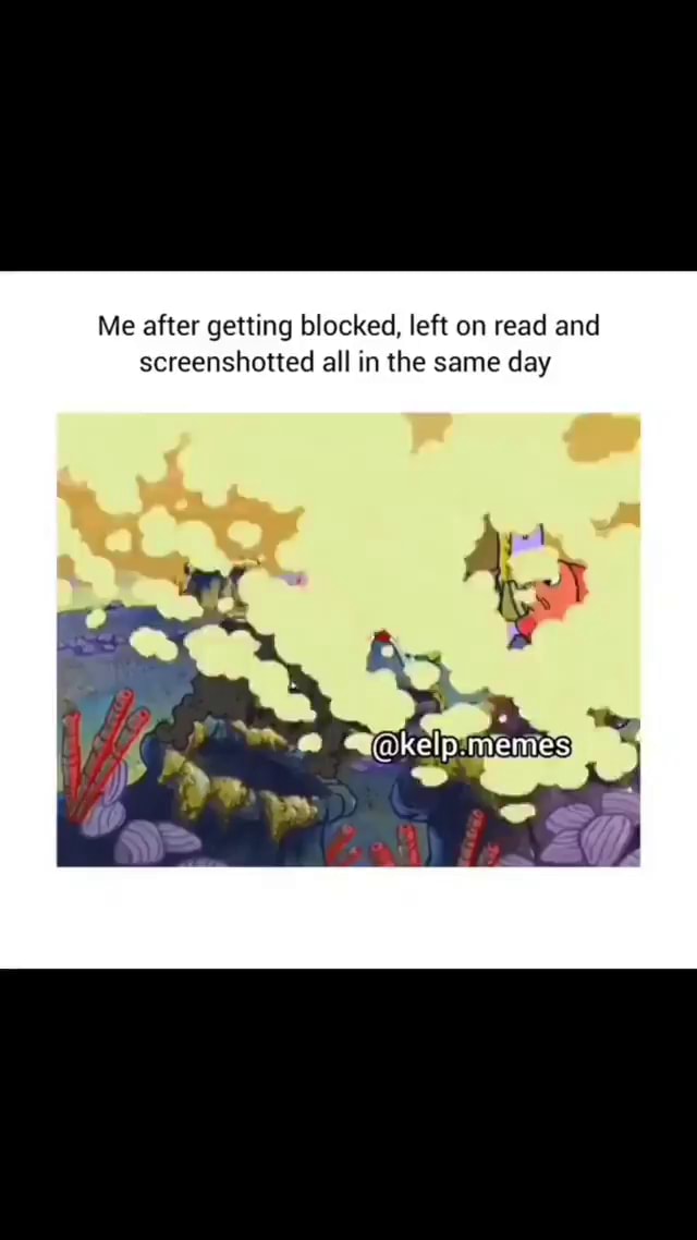 Me after getting blocked, left on read and screenshotted all in the ...