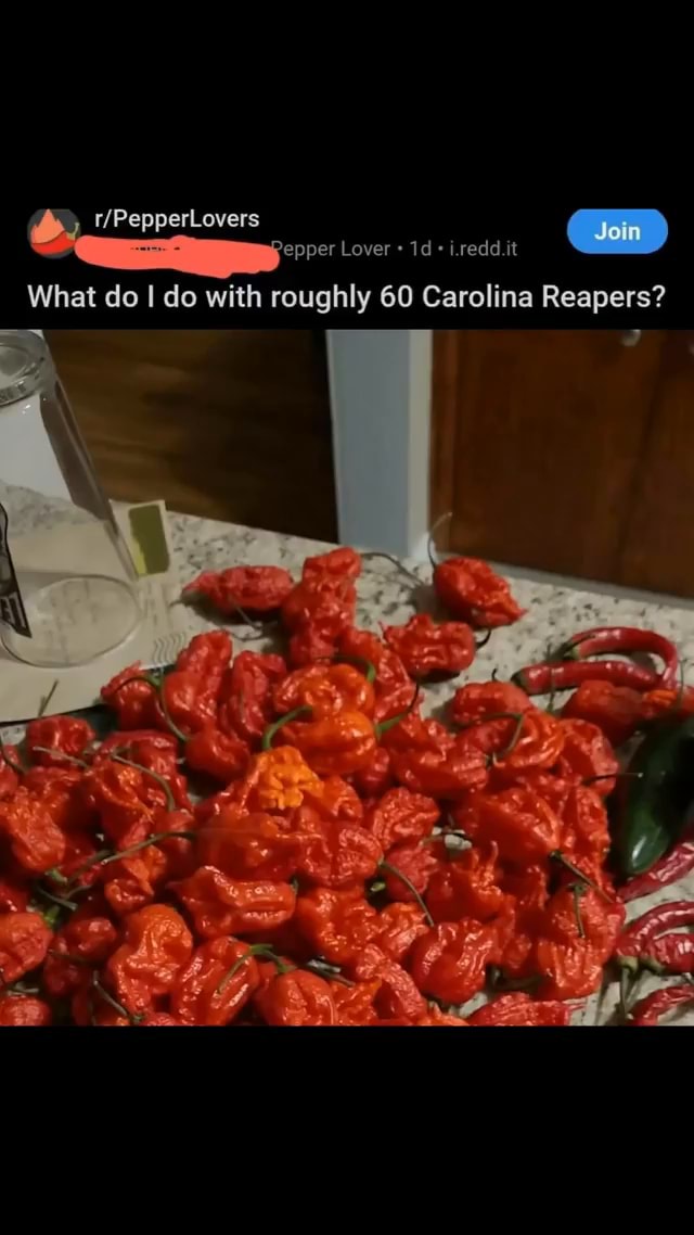 Credit unknown DM The Aston Martin DBR is an iconic sports racing car ...