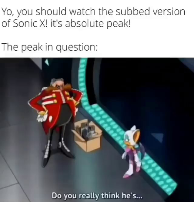 Yo, you should watch the subbed version of Sonic X! it's absolute peak ...