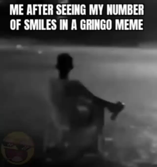 ME AFTER SEEING MY NUMBER OF SMILES IN A GRINGO MEME - iFunny