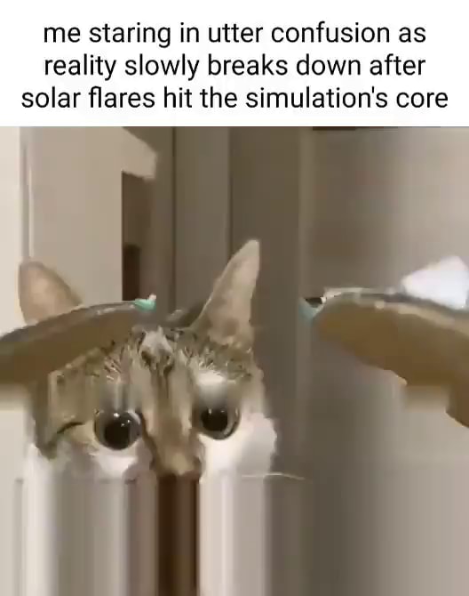 Me staring in utter confusion as reality slowly breaks down after solar flares hit the ...