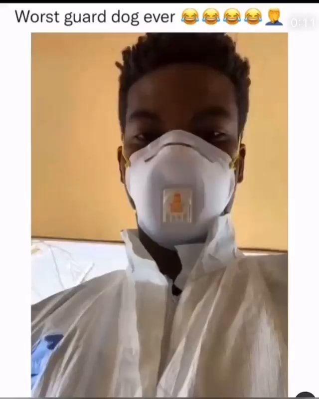 Worst guard dog ever @@SS - iFunny