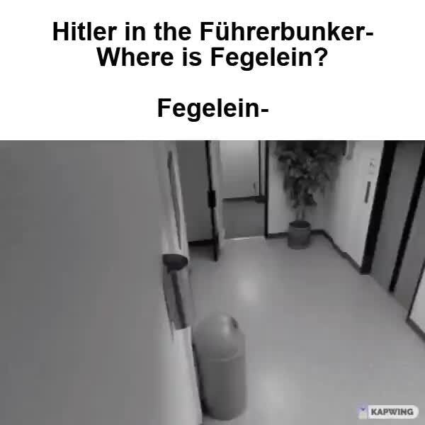 Hitler in the Fihrerbunker- Where is Fegelein? Fegelein- - iFunny