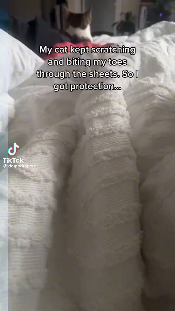 My cat kept scratching and biting my toes through the sheets, So I got ...