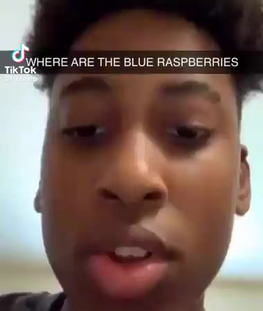WHERE ARE THE BLUE RASPBERRIES I - iFunny