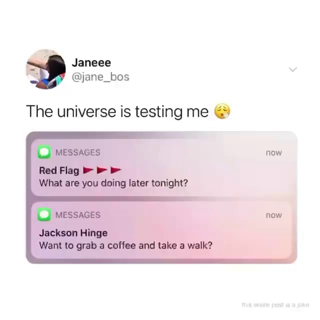Janeee @jane_bos The universe is testing me now Red Flag What are you ...