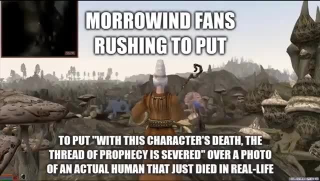 MORROWIND FANS RUSHING TO PUT TO PUT "WITH THIS CHARACTER'S DEATH, THE ...