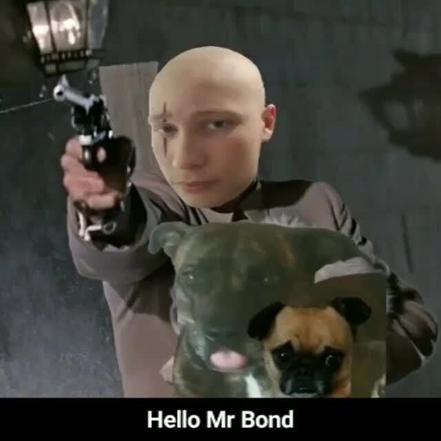 Hello Mr Bond - iFunny