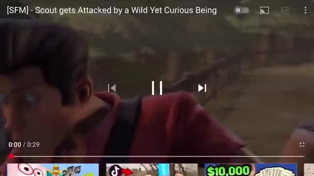 [sfm] Scout Gets Attacked By A Wild Yet Curious Being Ifunny