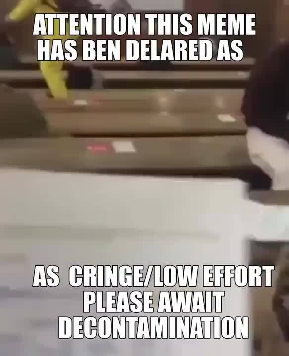 ATTENTION THIS MEME HAS BEN DELARED AS AS EFFORT PLEASE AWAIT ...