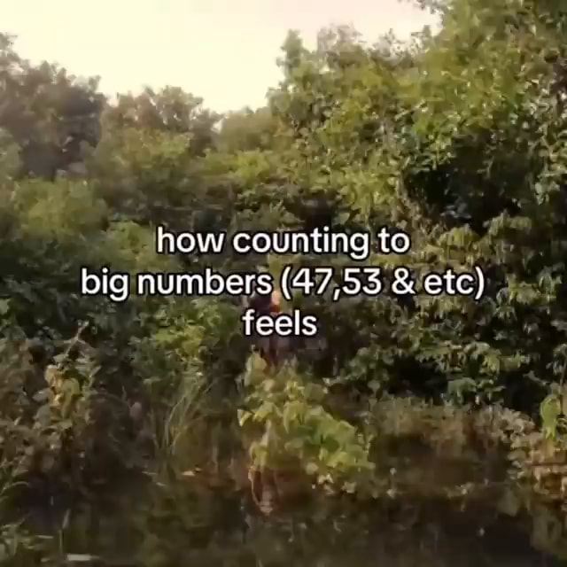 How counting to big numbers (47,53 & etc) feels - iFunny