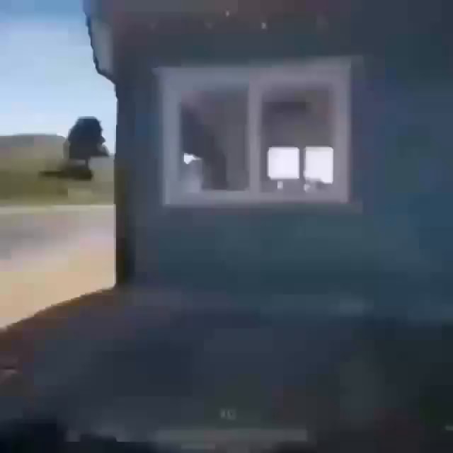 Video memes PJz0MFiNA by Chunder: 71 comments - iFunny