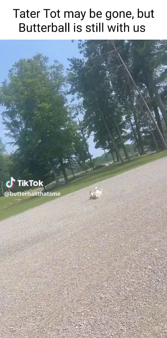 Tater Tot may be gone, but Butterball is still with us at TikTok ...