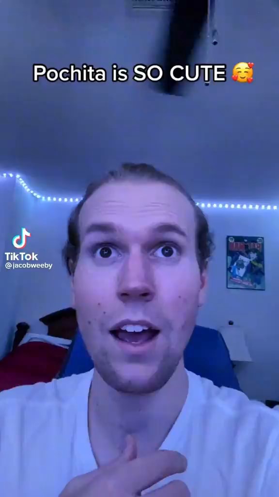 Pochita is SO CUTE TikTok - iFunny