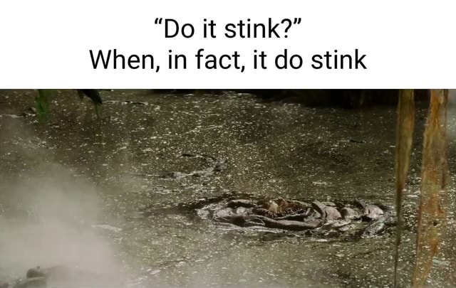 "Do it stink?" When, in fact, it do stink - iFunny