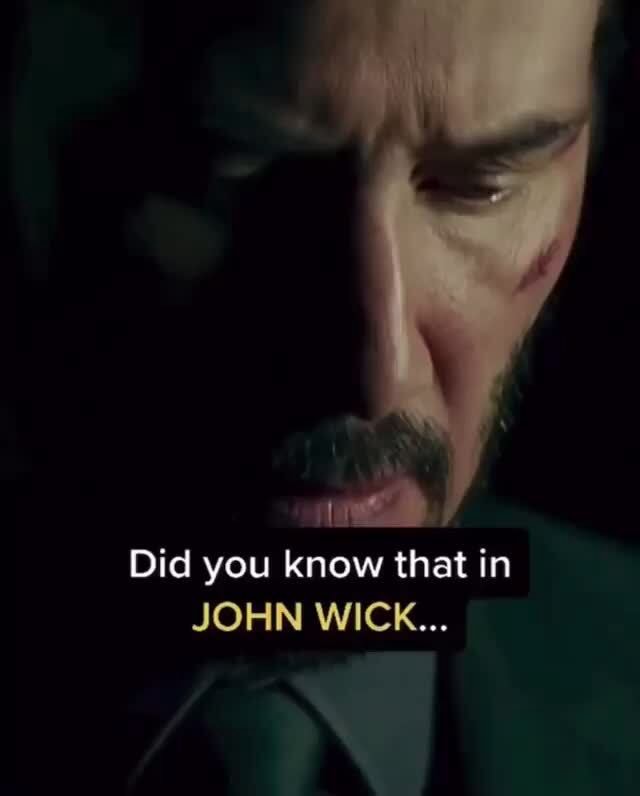 Did You Know That In John Wick Ne Ifunny