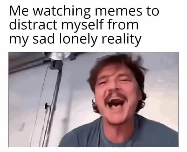 Me watching memes to distract myself from my sad lonely reality - iFunny