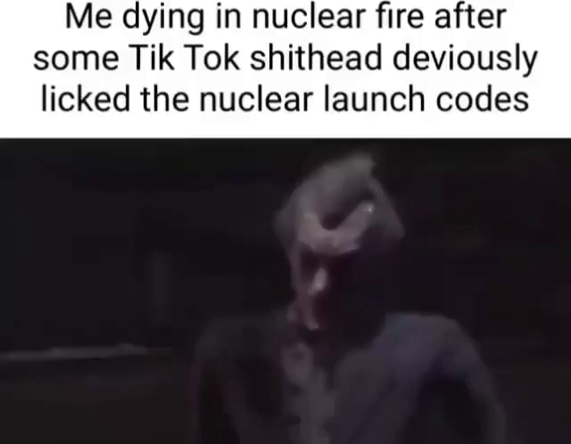 Me dying in nuclear fire after some Tik Tok shithead deviously licked ...