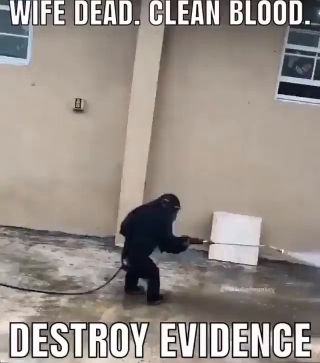 WIFE DEAD. CLEAN BLOOD. DESTROY EVIDEKCE - iFunny