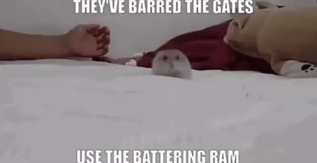 THEY VE BARRED THE GATES WSE THE ROTTERINAGA - iFunny
