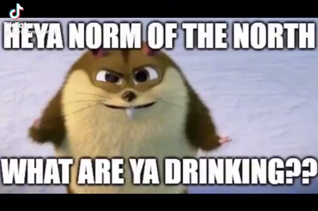 NORM OF THE NORTH WHAT ARE YA DRINKING?? - iFunny