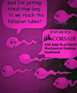 I God Im getting tired! How long "til we reach the fallopian tubes ...