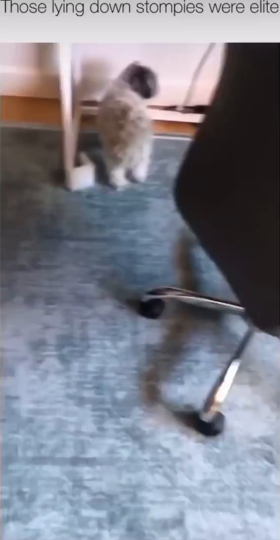 Those lying down stompies were clite - iFunny