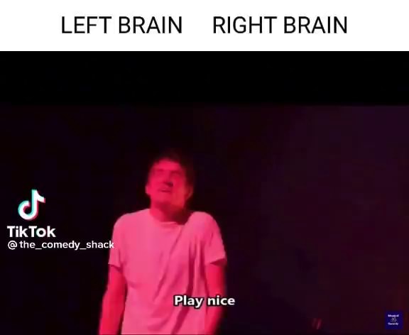 LEFT BRAIN RIGHT BRAIN TikTok @the comedy Play nice - iFunny