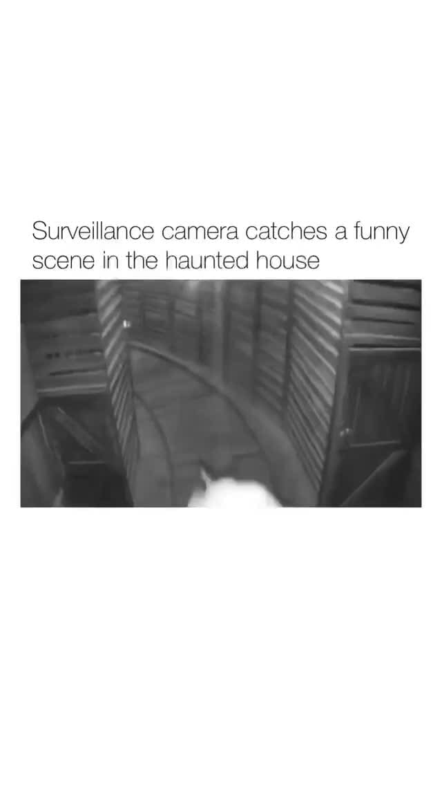Surveillance camera catches funny scene in the haunted house - iFunny