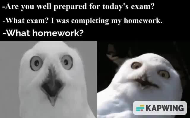 -Are you well prepared for today's exam? -What exam? I was completing ...