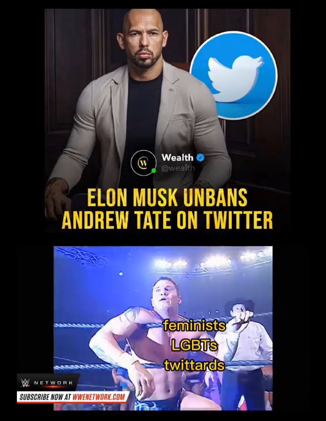 Wealth ELON MUSK UNBANS ANDREW TATE ON TWITTER W verwork N SUBSCRIBE ...