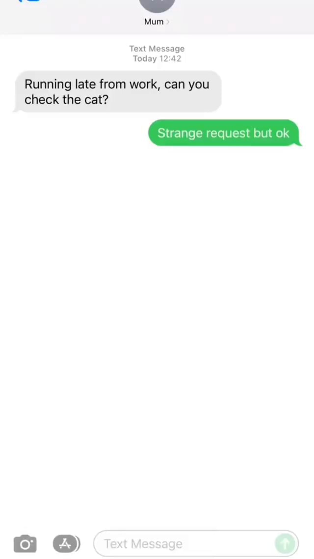 Mum Text Message Today Running late from work, can you check the cat ...
