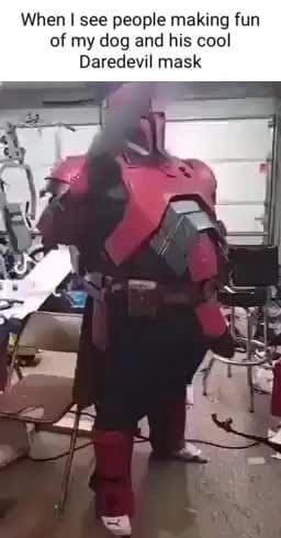 When see people making fun of my dog and his cool Daredevil mask - iFunny