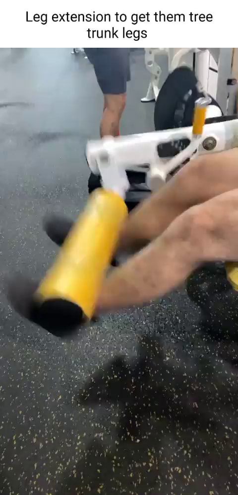 Leg extension to get them tree trunk legs - iFunny