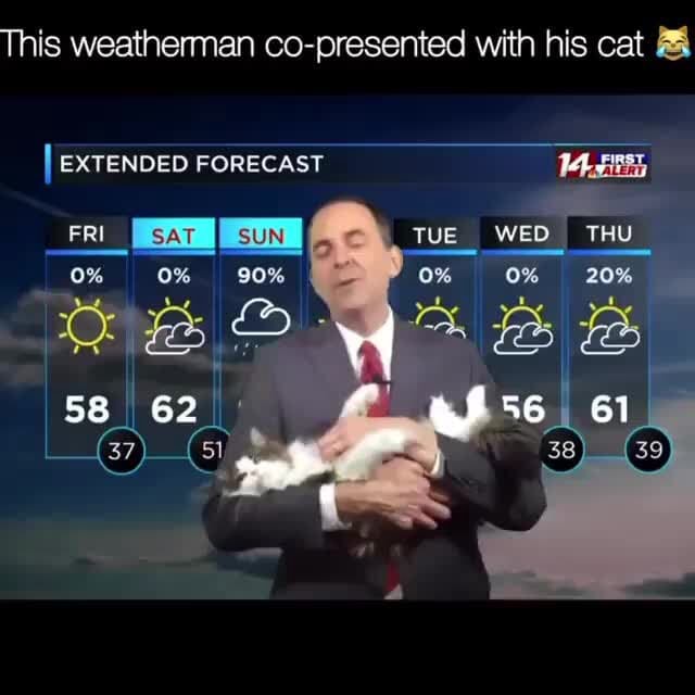 This weatherman co-presented with his cat - iFunny
