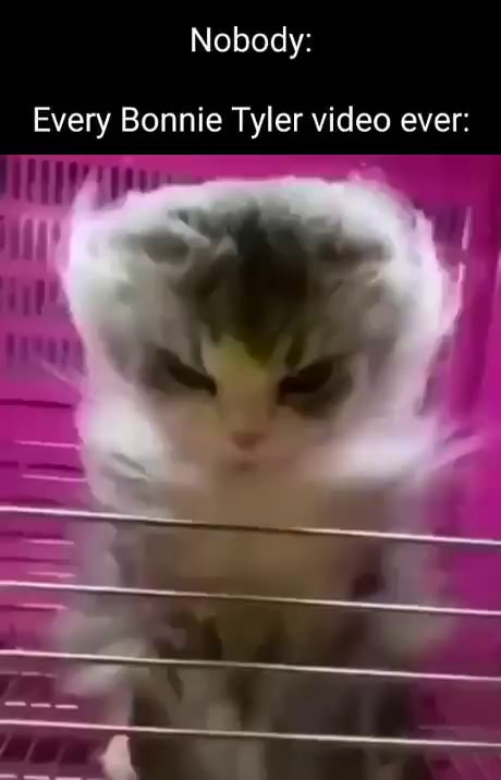 Nobody: Every Bonnie Tyler video ever: - iFunny