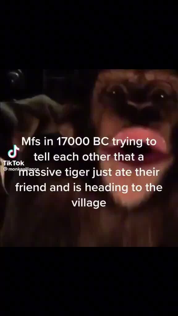 Ms in 17000 BC trying to tell each other that a tiger just ate their ...