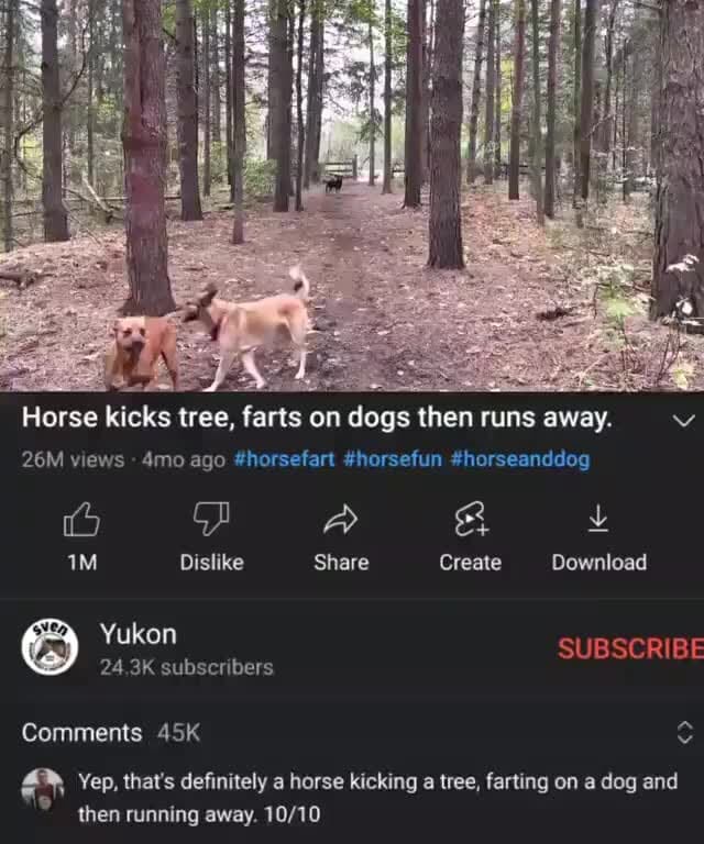 Horse kicks tree, farts on dogs then runs away. views ago #horsefart # ...