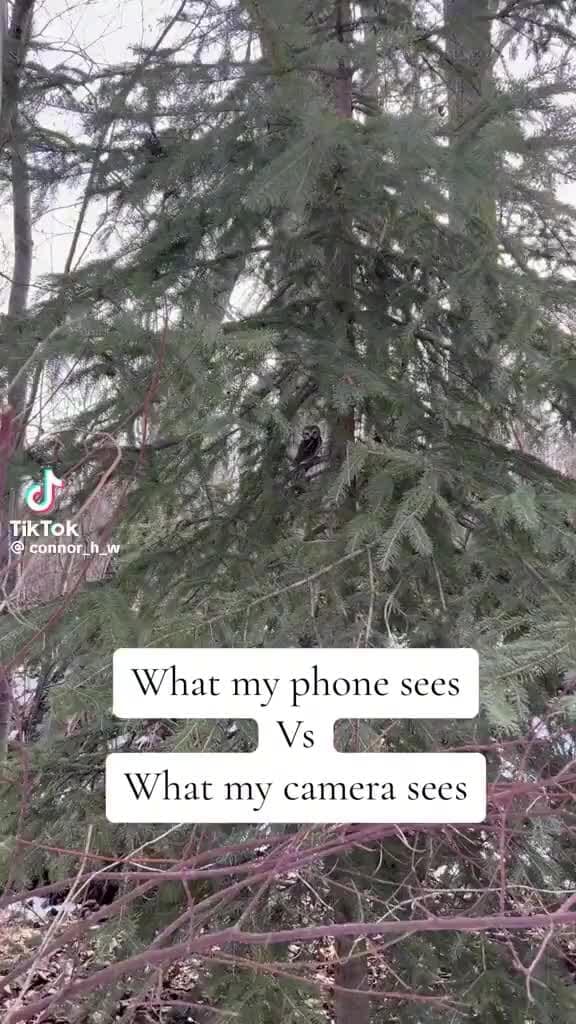 TikTok What my phone sees Vs I What my camera sees - iFunny