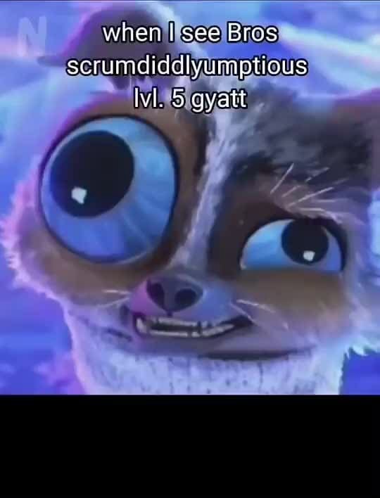 When I see Bros scrumdiddlyumptious Ivl. gyatt - iFunny