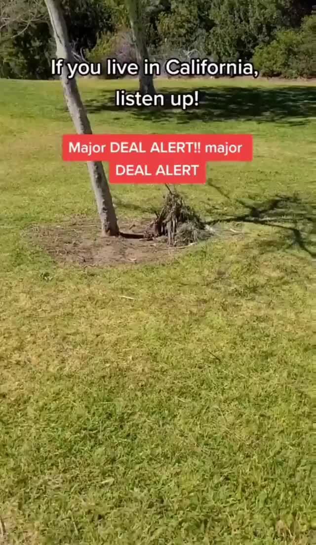 If you live in California, listen up! Major DEAL ALERT! major DEAL - iFunny